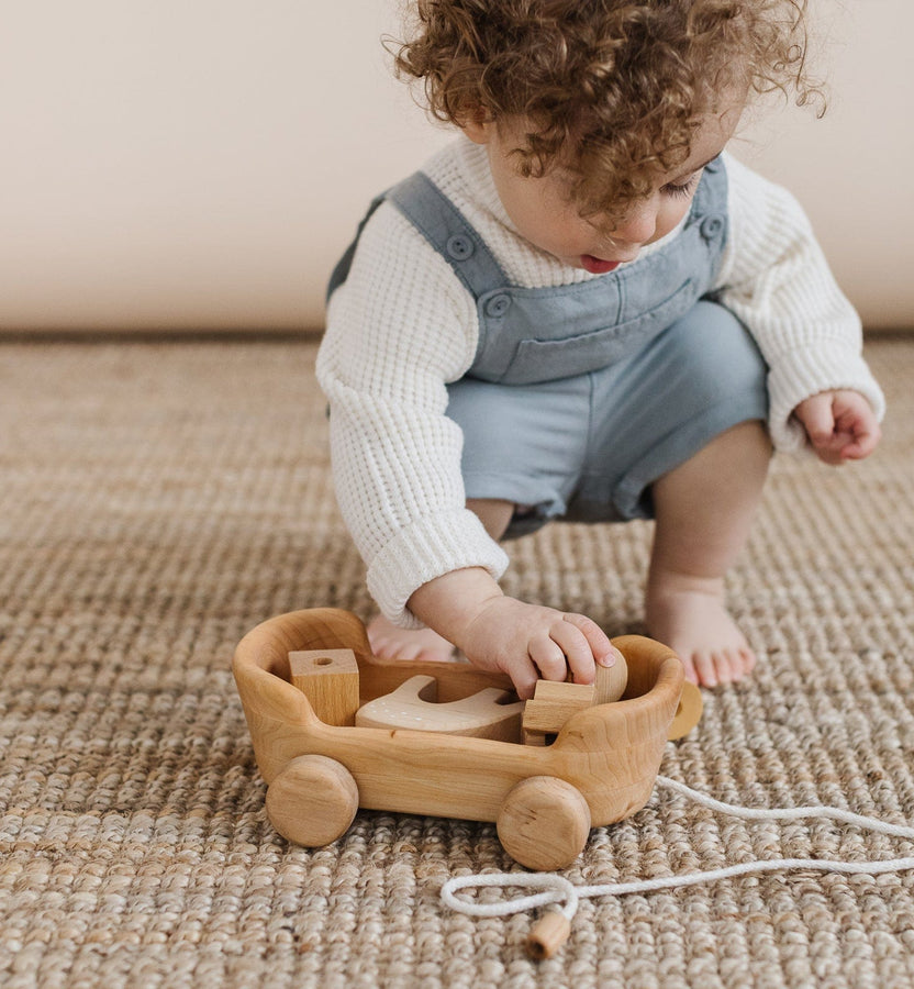 Tateplota Collection | Handmade Wooden Toys – The Playful Peacock